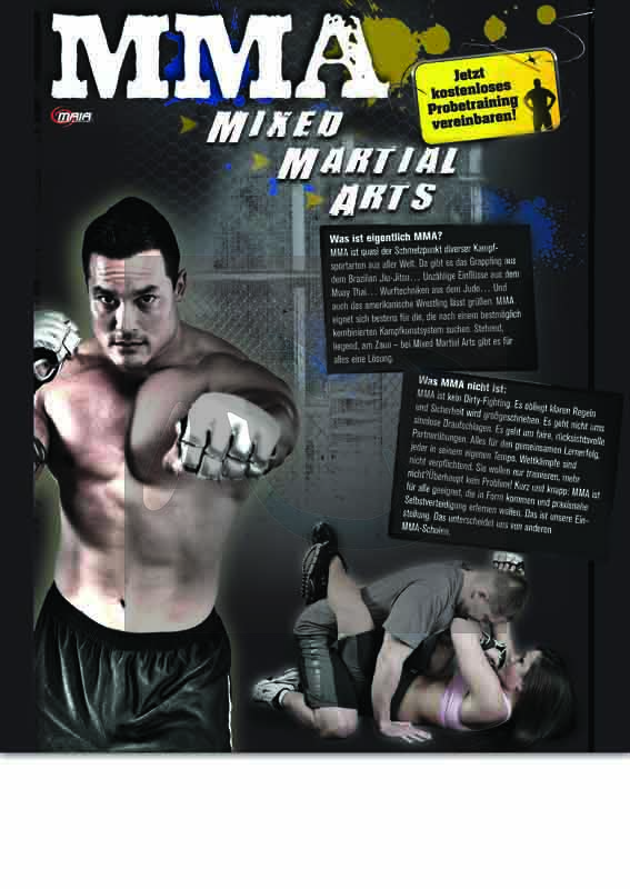 Mma Mixed Martial Arts Berufsverband Kampfkunst